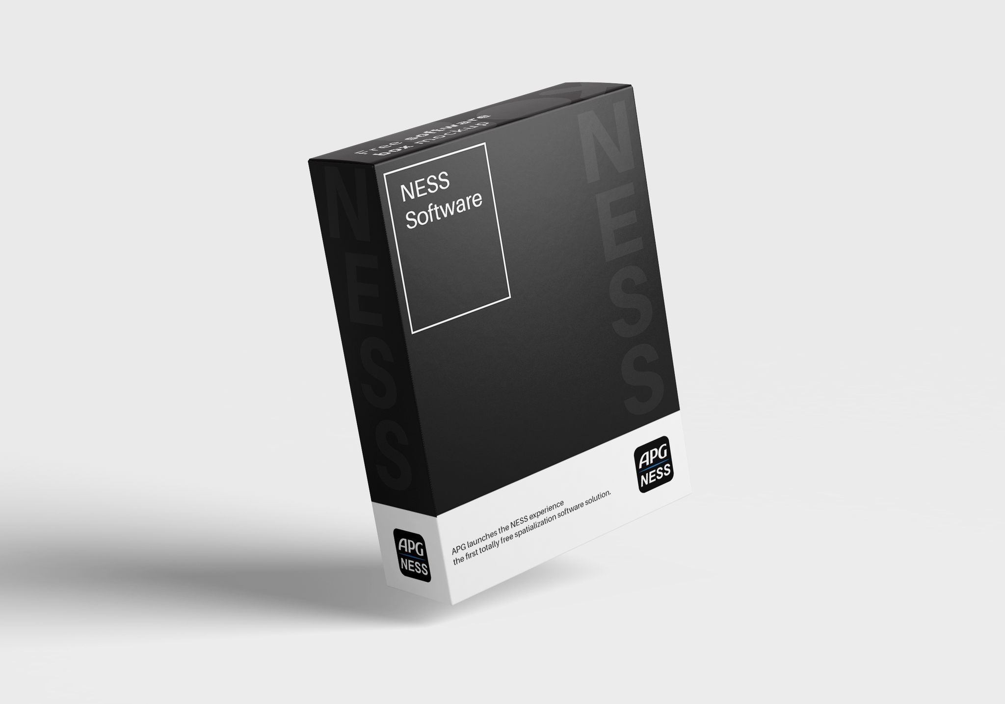 Accueil - NESS | APG